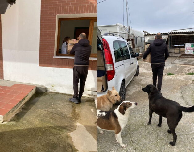 Ο δράσεις της Just Action στην τοπική κοινωνία της Σάμου - Samos24